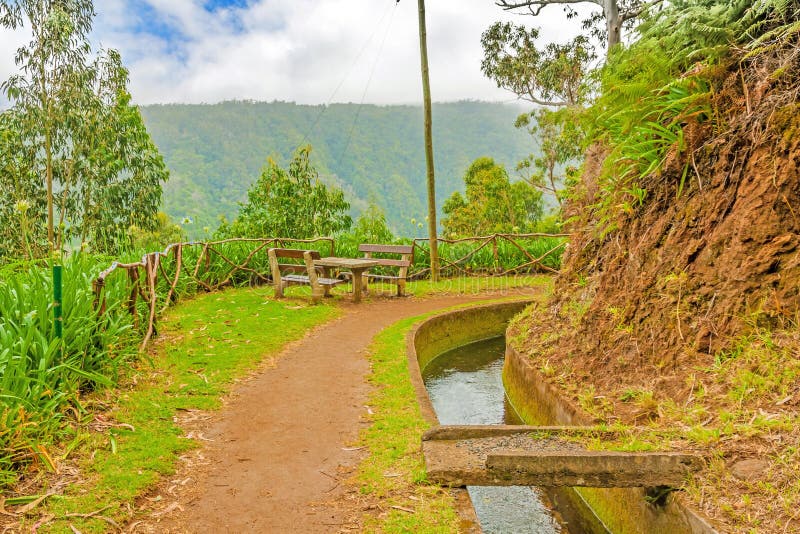 Along the Levada, Madeira stock photo. Image of adventure - 31738786