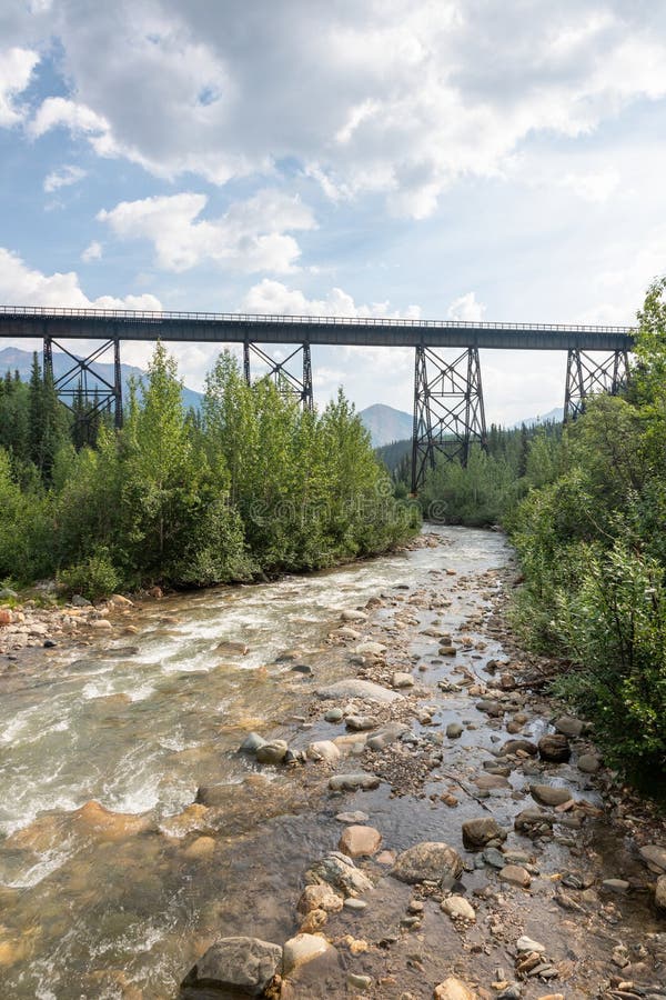 Along the river in Denali stock photo. Image of green - 261510000