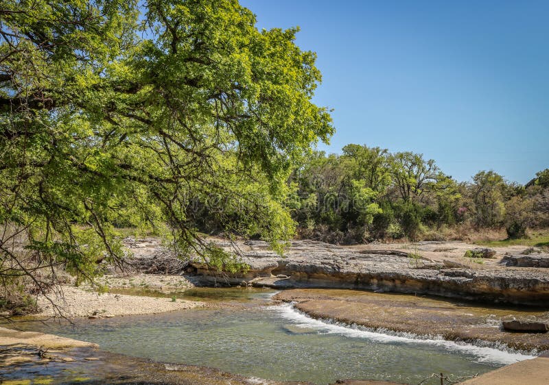 Rocky Creek in the Forest. River with Rocks. Dense Overgrown Forest ...