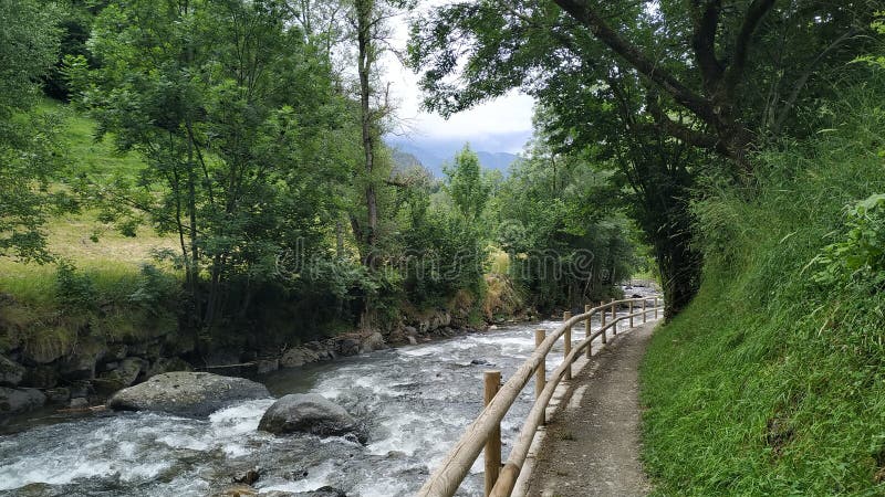 Alongside the river stock image. Image of trees, nature - 152757839