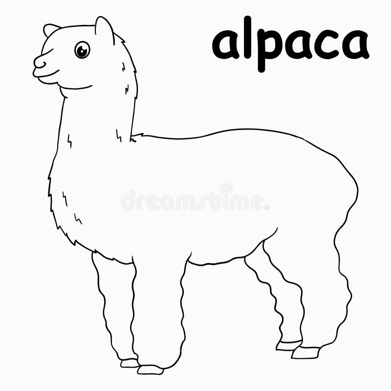 Kids Line Illustration Coloring Alpaca. Outline Vector for Children ...