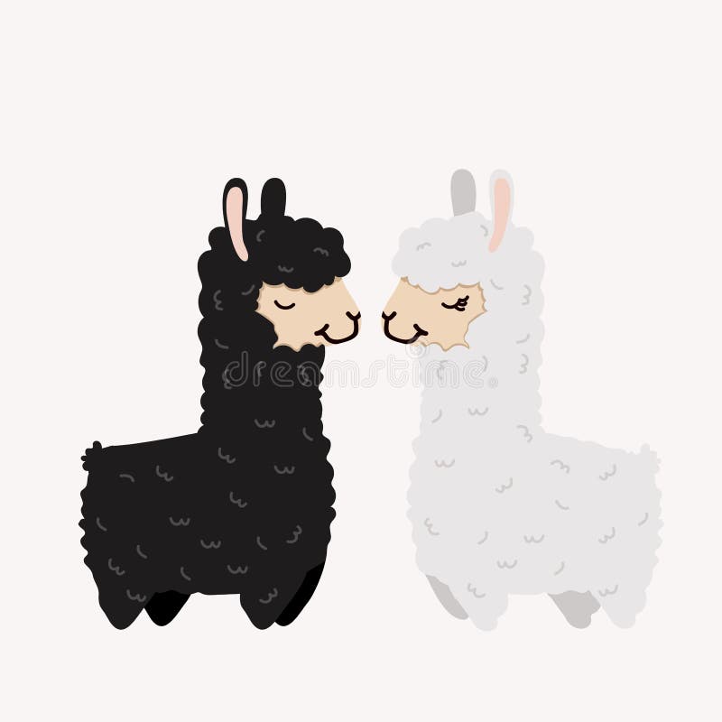 Alpaca Couple in Love on Isolate Background Stock Vector - Illustration ...