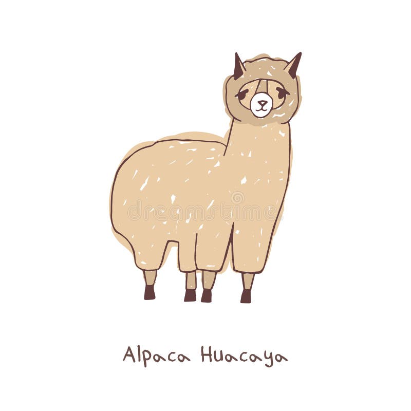 Comic Alpaca Stock Illustrations – 623 Comic Alpaca Stock Illustrations ...