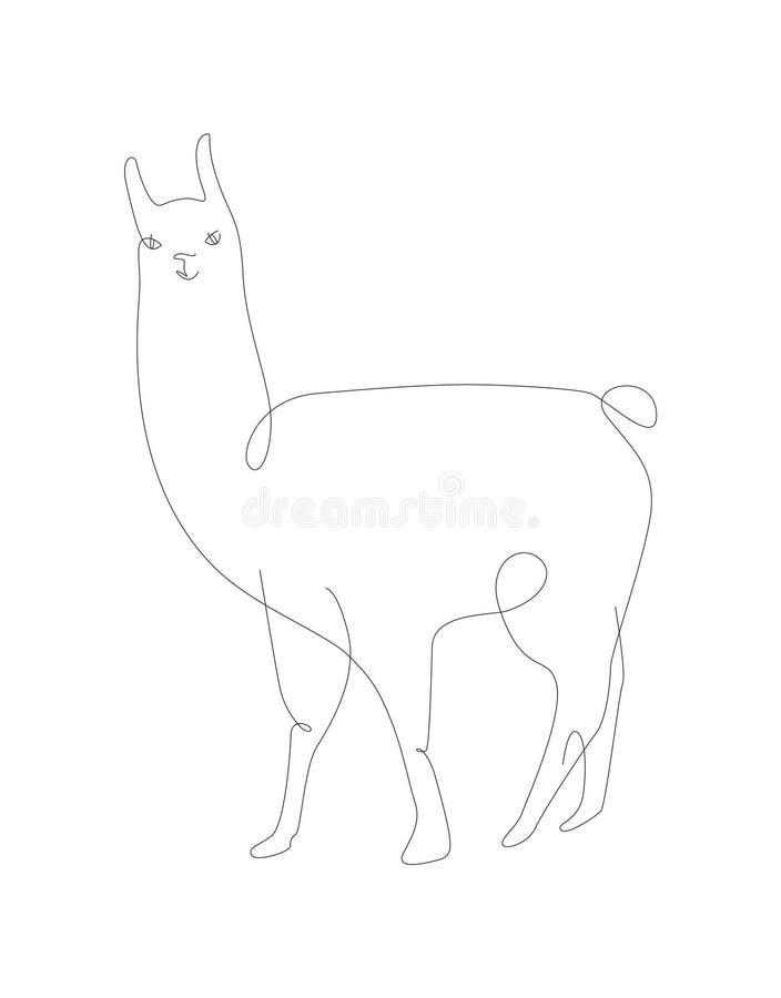 Alpaca One Line Illustration. Lama Line Art Vector Stock Vector ...