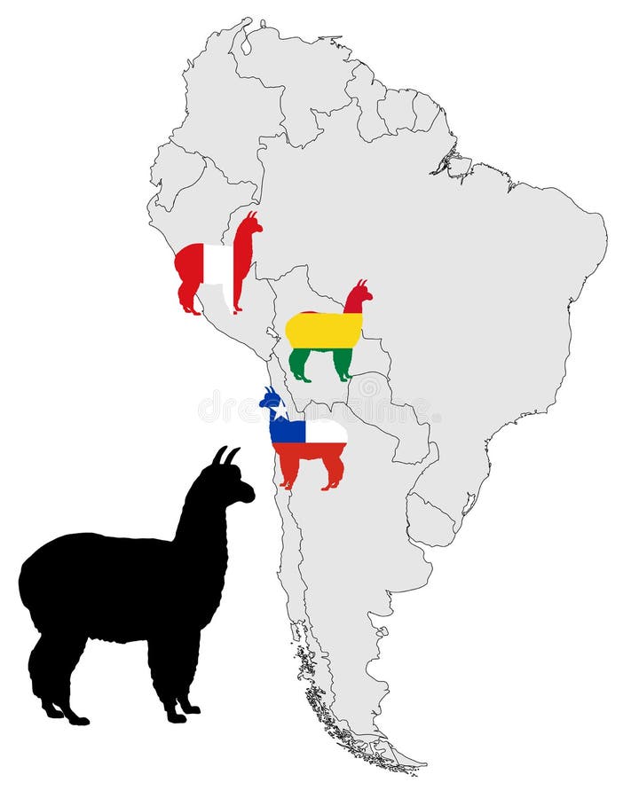 Alpaca range map stock vector. Illustration of gray, alpaca - 21446086