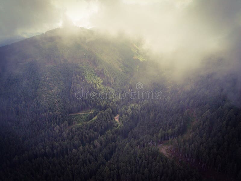 Alps with Forest Mountain with Fog Light Summit Stock Image - Image of ...