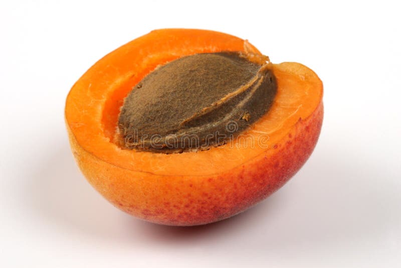 Alperce imagem de stock. Imagem de alperce, planta, pedra - 3041183