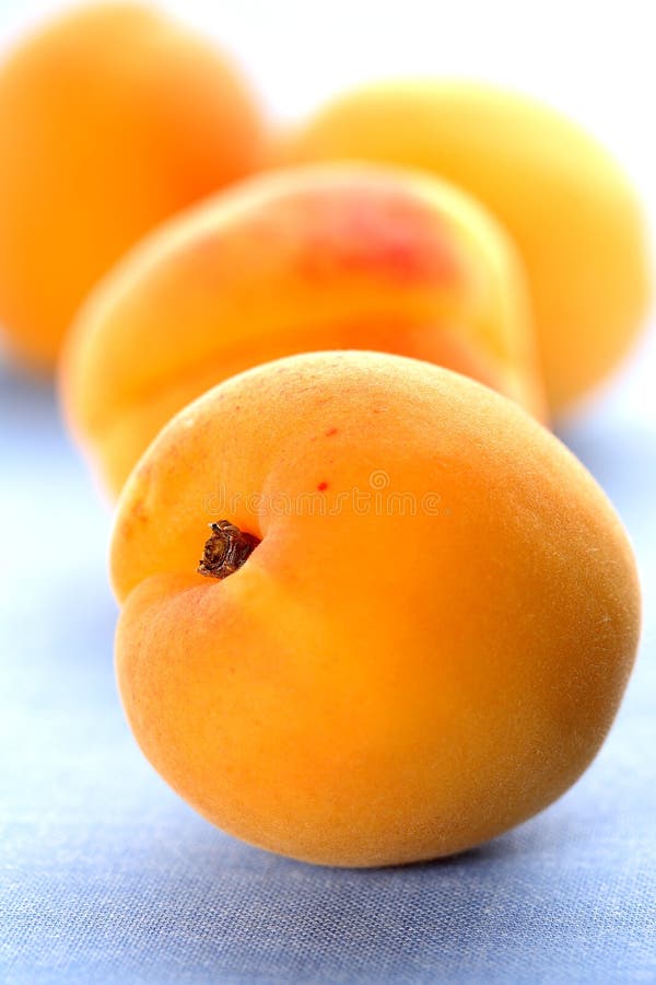 Alperces foto de stock. Imagem de alimento, mercado, arara - 8071348