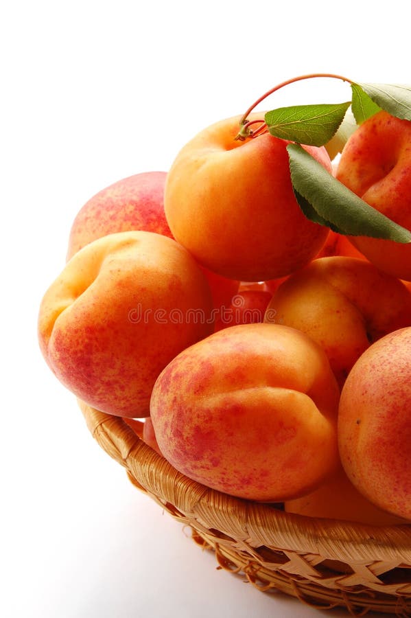 Alperce fresco foto de stock. Imagem de maduro, doce - 16231386