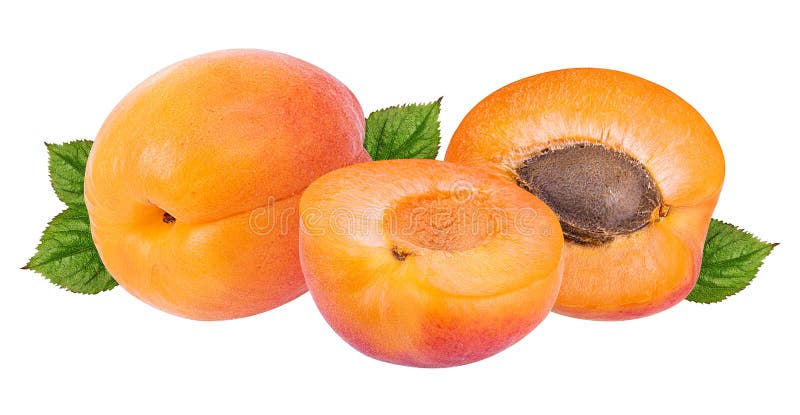 Alperce isolado no branco imagem de stock. Imagem de doce - 112802813