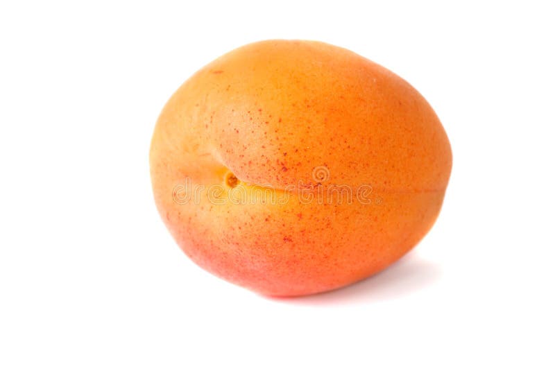 Alperce isolado no branco foto de stock. Imagem de alperce - 5915866