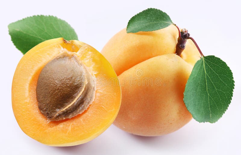 Alperce foto de stock. Imagem de fundo, produto, corte - 6873752