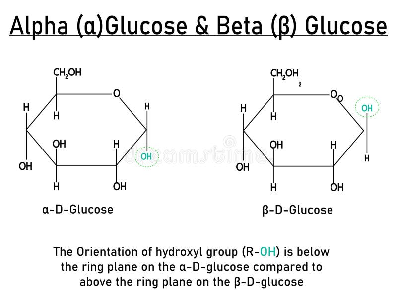 Glucose Anomers Stock Illustrations – 3 Glucose Anomers Stock ...