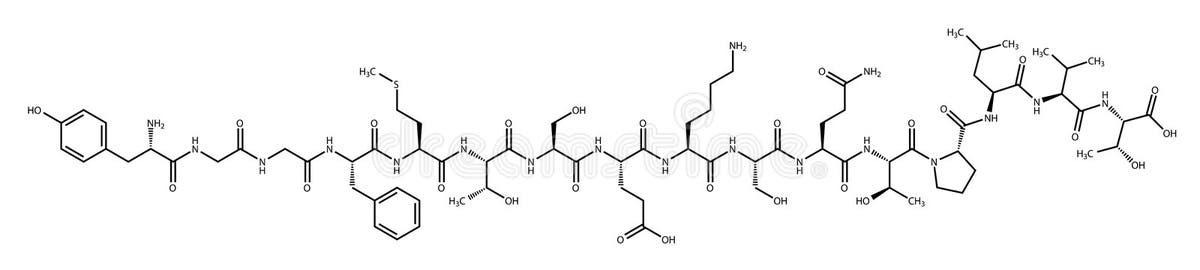 Endorphin Structure Stock Illustrations – 274 Endorphin Structure Stock ...
