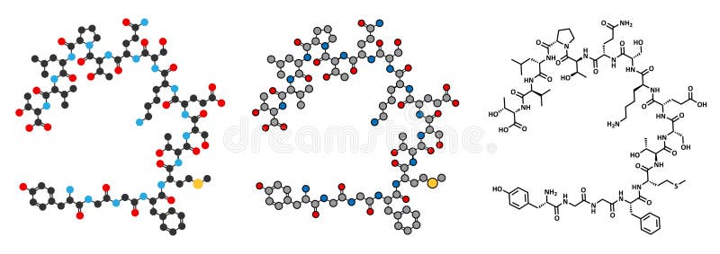 Alpha-endorphin Endogenous Opioid Peptide Molecule. Skeletal Formula ...