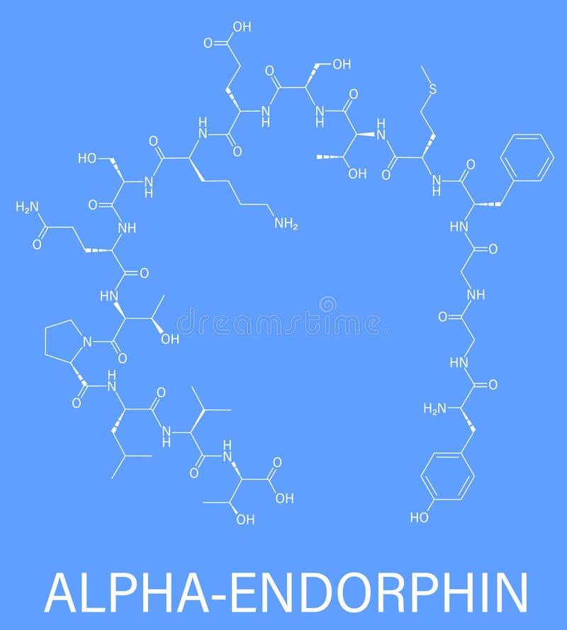 Alpha-endorphin Molecule. Skeletal Formula. Stock Vector - Illustration ...