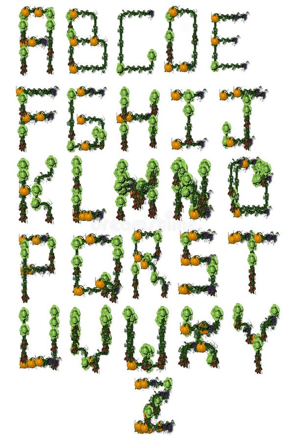 Alpha Fresh Salad stock illustration. Illustration of lettuce - 12209495