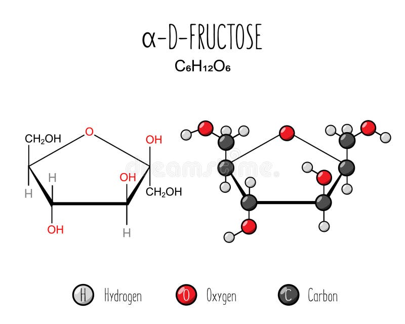 Fructose Molecule Diagram