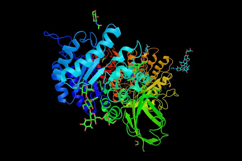 Alpha-galactosidase 3d Structure, Administered As Enzyme Stock ...