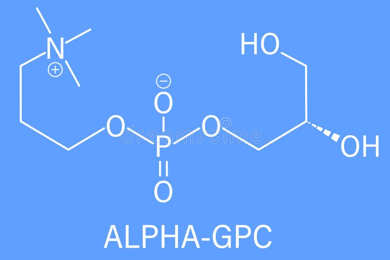 Alpha-GPC or L-Alpha Glycerylphosphorylcholine, Choline Alfoscerate ...