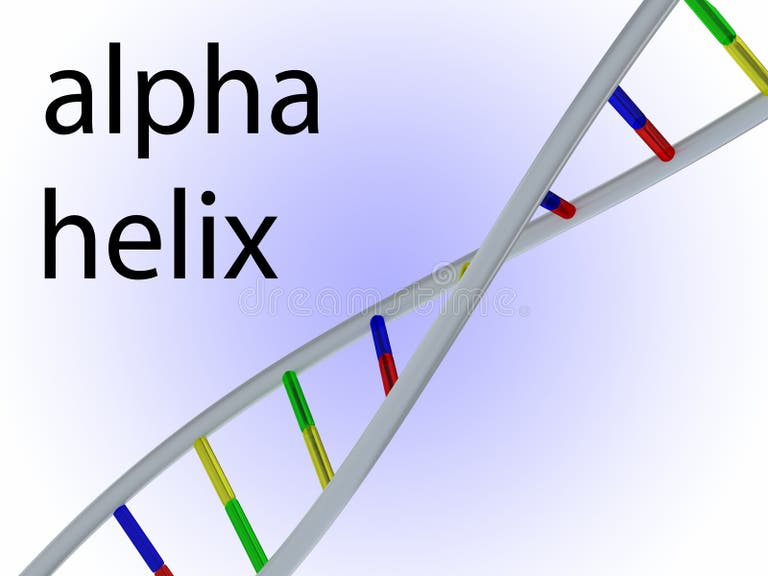 Alpha Helix Stock Illustrations – 202 Alpha Helix Stock Illustrations ...