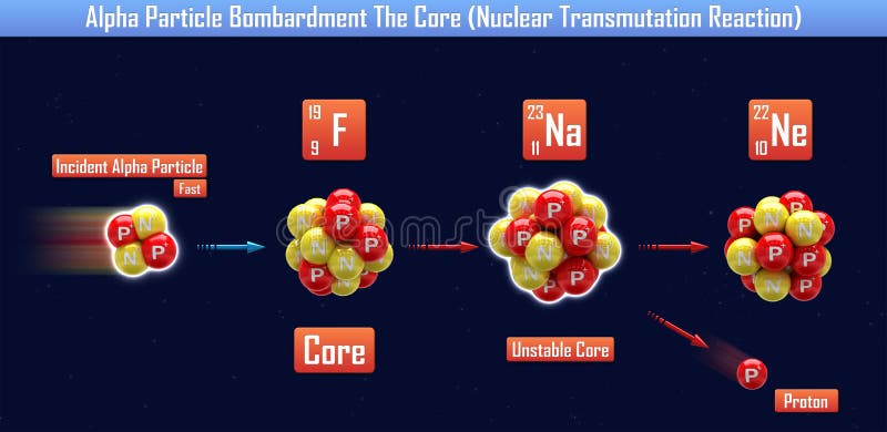 Alpha Particle Bombardment the Core Nuclear Transmutation Reaction ...