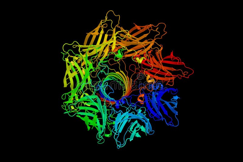 Alpha-toxin, the Major Cytotoxic Agent Released by Bacterium Sta Stock ...