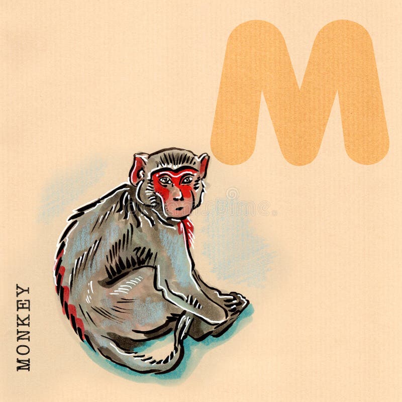 Alphabet anglais, singe illustration stock. Illustration du langage ...