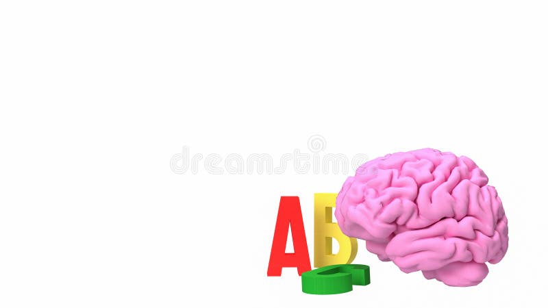 The Alphabet and Brain for Education or Sci Concept 3d Rendering Stock ...