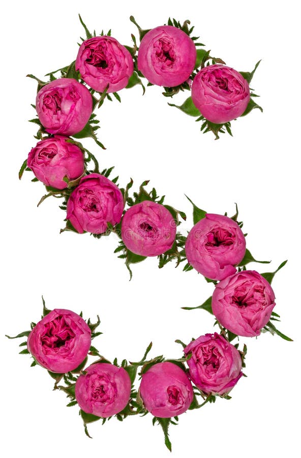 Lettre s des roses photo stock. Image du floral, centrale - 57726868