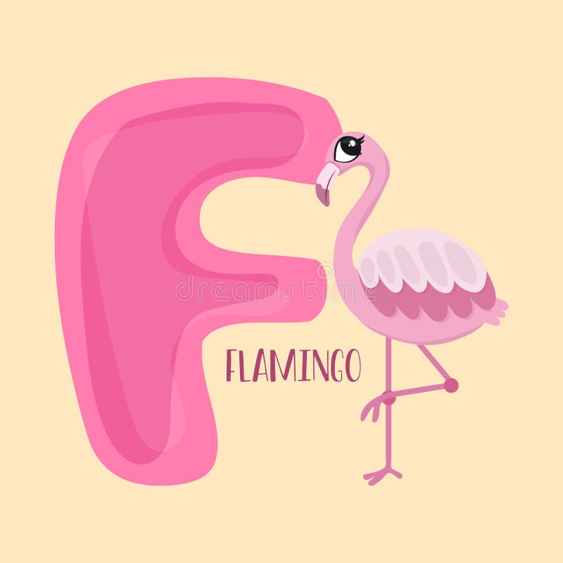 ALPHABET F Flamingo Vector Educational Stock Vector - Illustration of ...