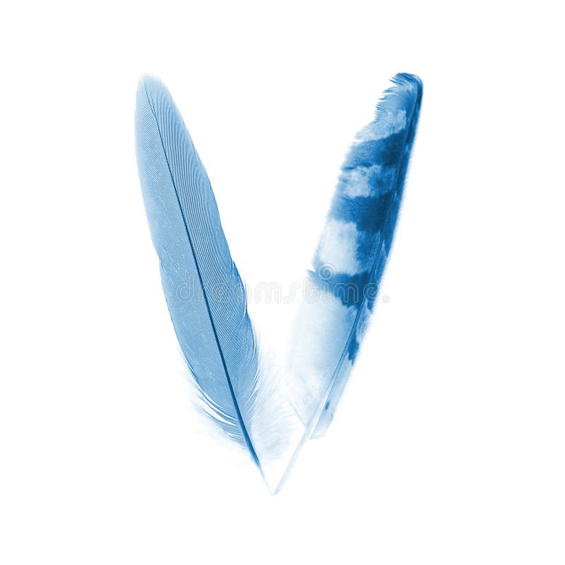 309 Feather Alphabet Stock Photos - Free & Royalty-Free Stock Photos ...