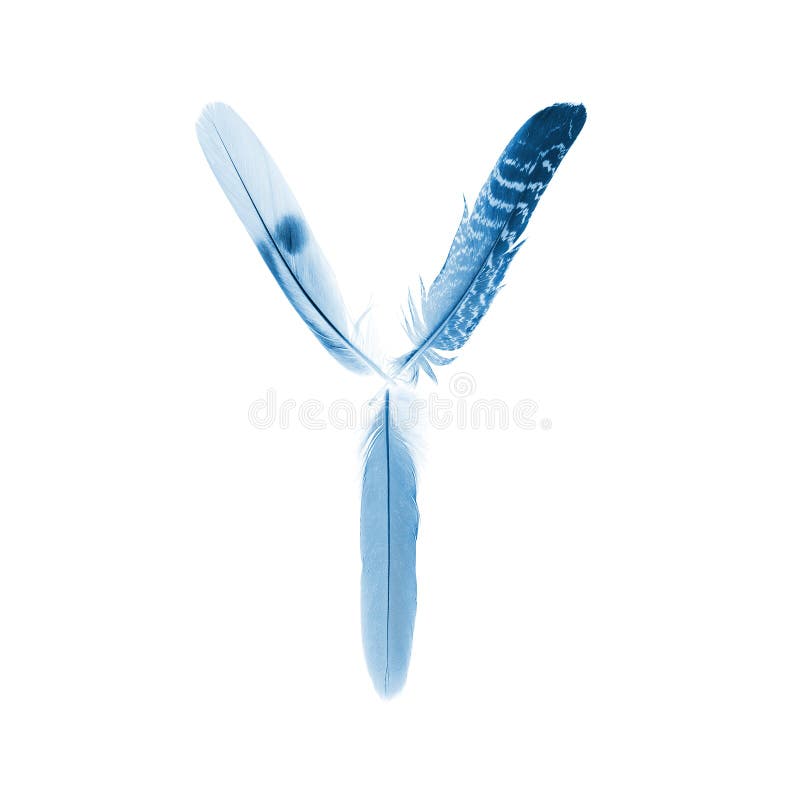 302 Feather Alphabet Stock Photos - Free & Royalty-Free Stock Photos ...