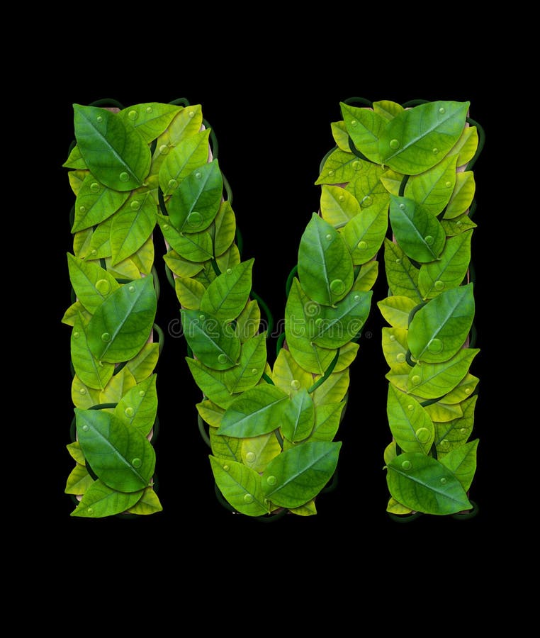 Alphabet Letters from Leaves Stock Illustration - Illustration of ...