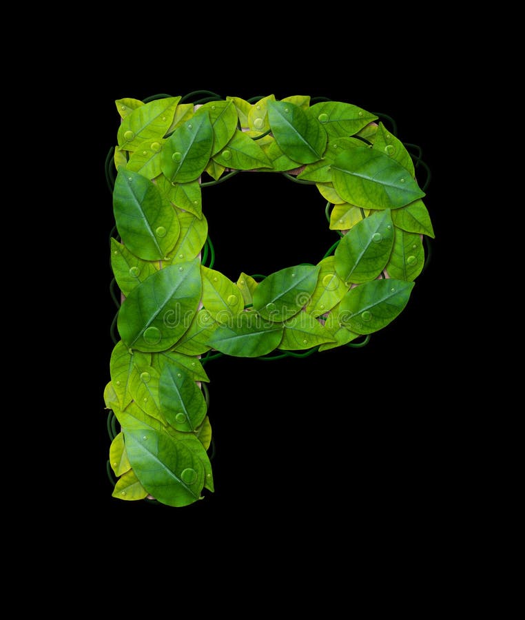 Alphabet Letters from Leaves Stock Illustration - Illustration of decor ...