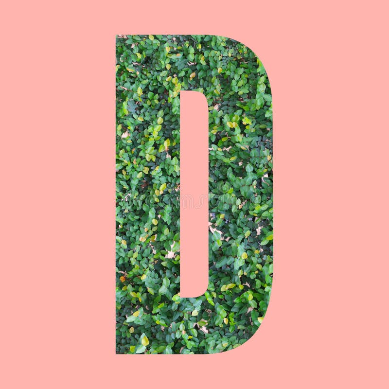 D Letter Pastel Floral Stock Illustrations – 30 D Letter Pastel Floral ...