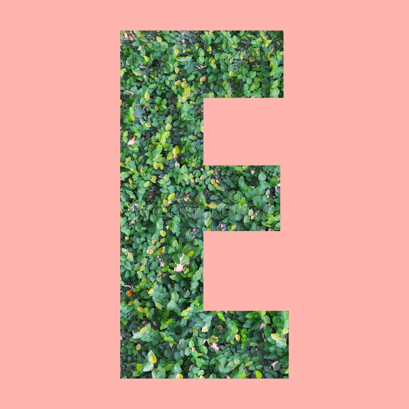 Alphabet Letters of Shape E in Green Leaf Style on Pastel Pink ...