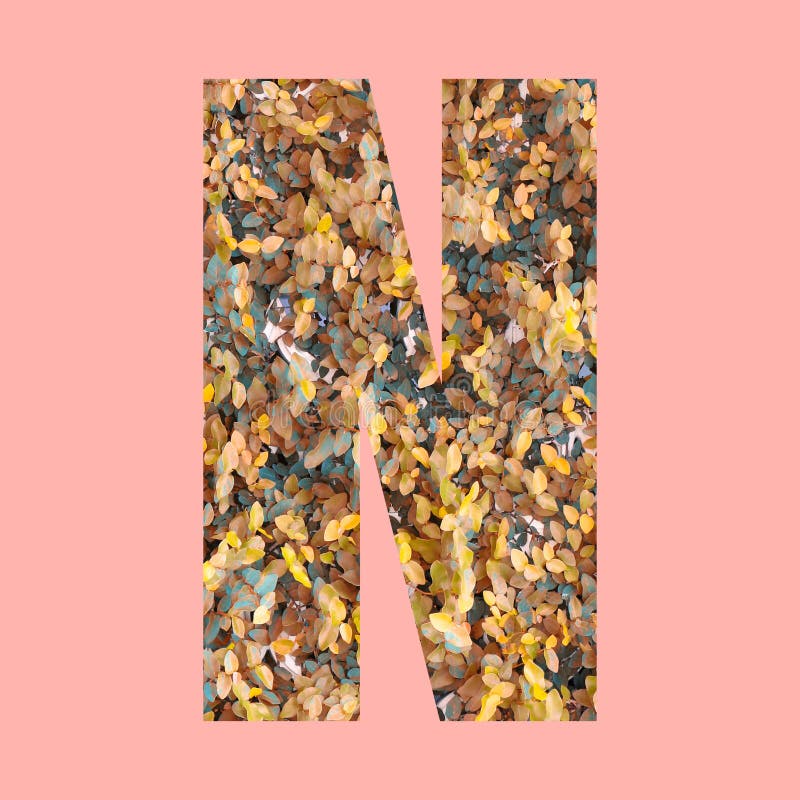 Alphabet Letters of Shape N in Autumn Style on Pastel Pink Background ...