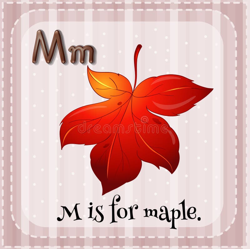M Maple Stock Illustrations – 71 M Maple Stock Illustrations, Vectors ...