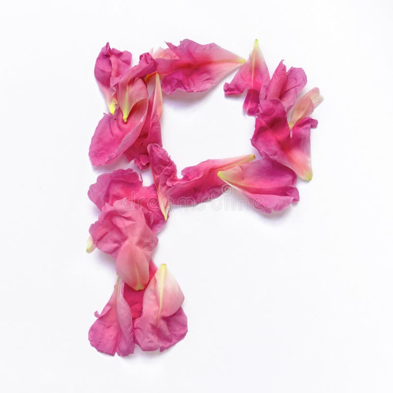 Alphabet Made of Peony Petals. Letter P, Layout for Design Stock Photo ...