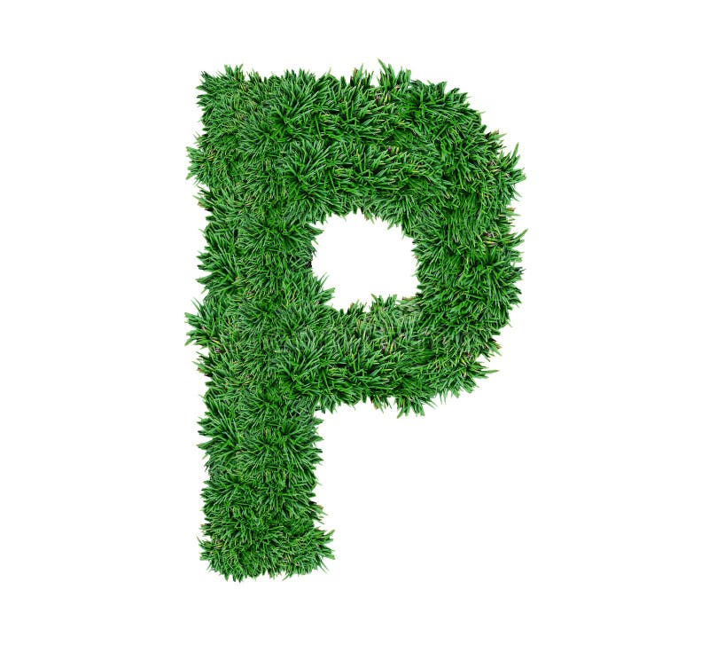 Alphabet P Green Grass Decorate with Flower Stock Image - Image of ...