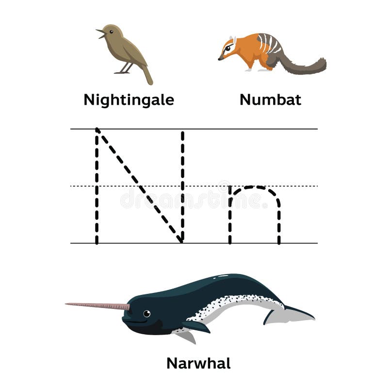 N Alphabet English Letter Tracing Learning Vector Preschool Stock ...