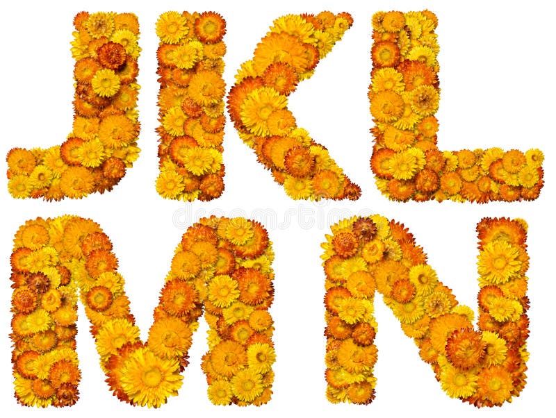 Letters from Alphabet from Yellow and Orange Flowe Stock Image - Image ...