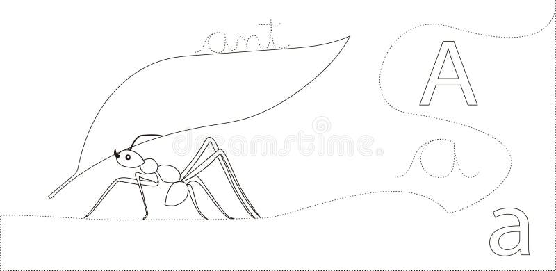 Alphabet Letter A English - Ant Stock Vector - Illustration of learning ...