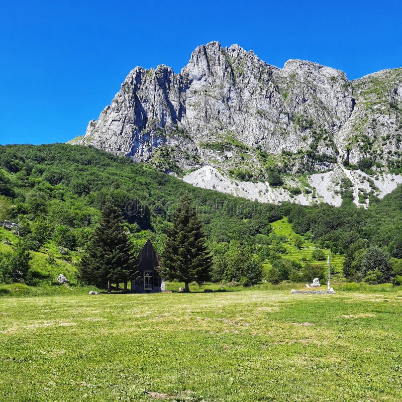 Alpi Apuane (Tuscany) stock photo. Image of apuane, plant - 31088962