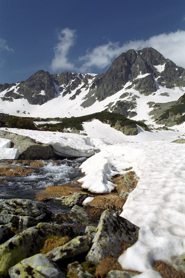 Alpiene stroom stock foto. Image of lente, water, steenachtig - 7654526
