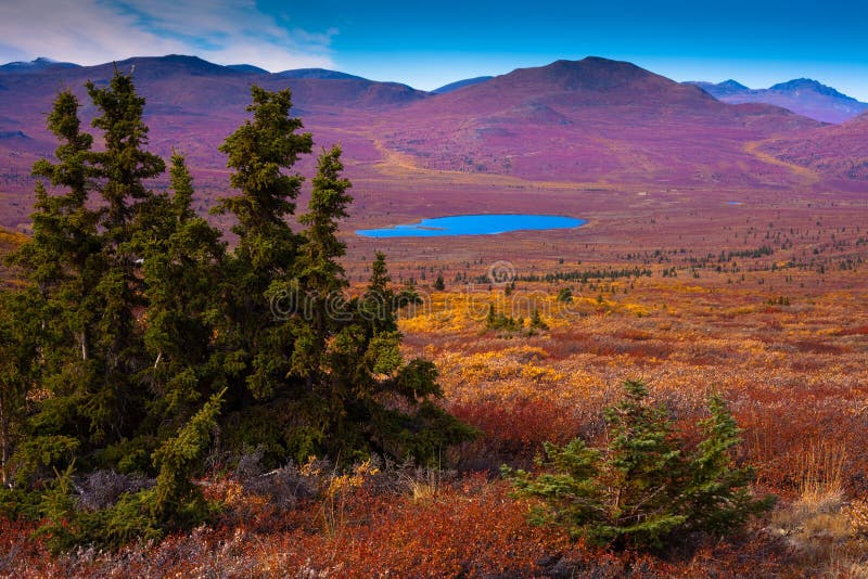 Alpine Toendra in De Winter Stock Foto - Image of canada, blauw: 18295438