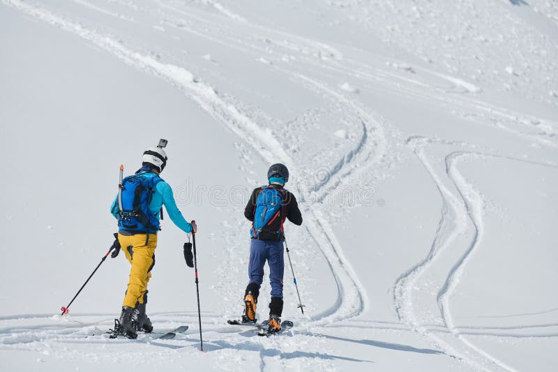 Alpine Ascent: Two Professional Skiers Conquer Snowy Peaks As a ...