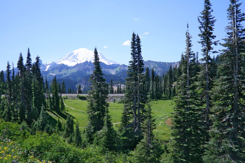 Alpine Beauty stock photo. Image of camping, nature, pristine - 12481404