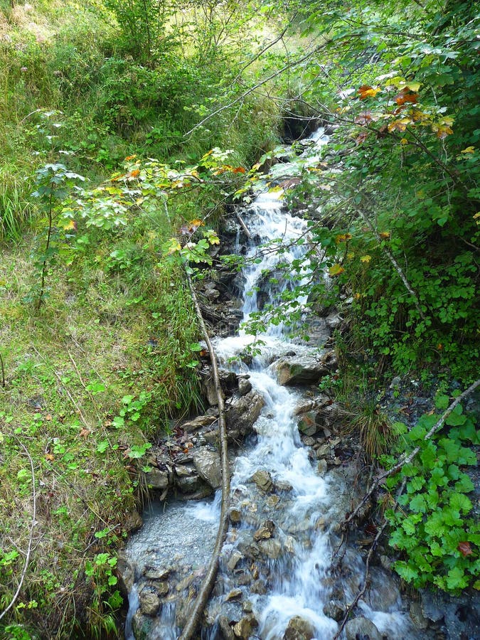 Alpine brook stock image. Image of plants, water, recreation - 304518977